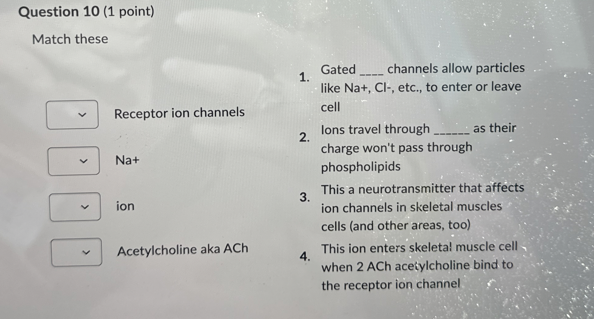 Solved Question 10 (1 ﻿point)Match theseReceptor ion | Chegg.com