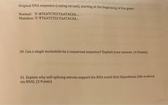 Solved Original DNA sequence (coding strand), starting at | Chegg.com