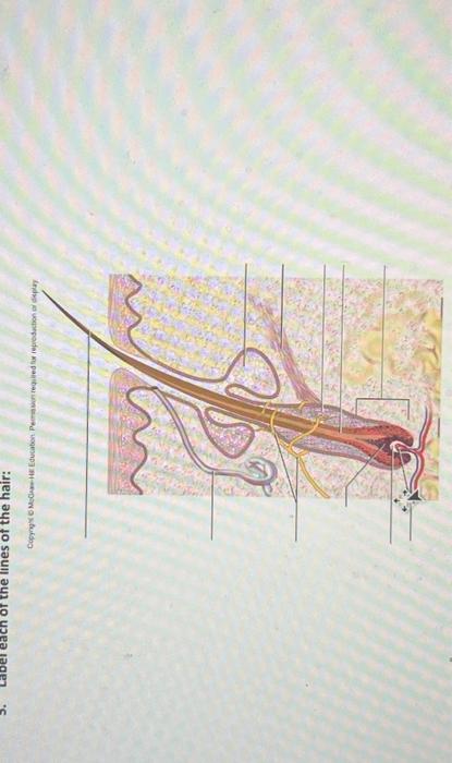 Solved label | Chegg.com