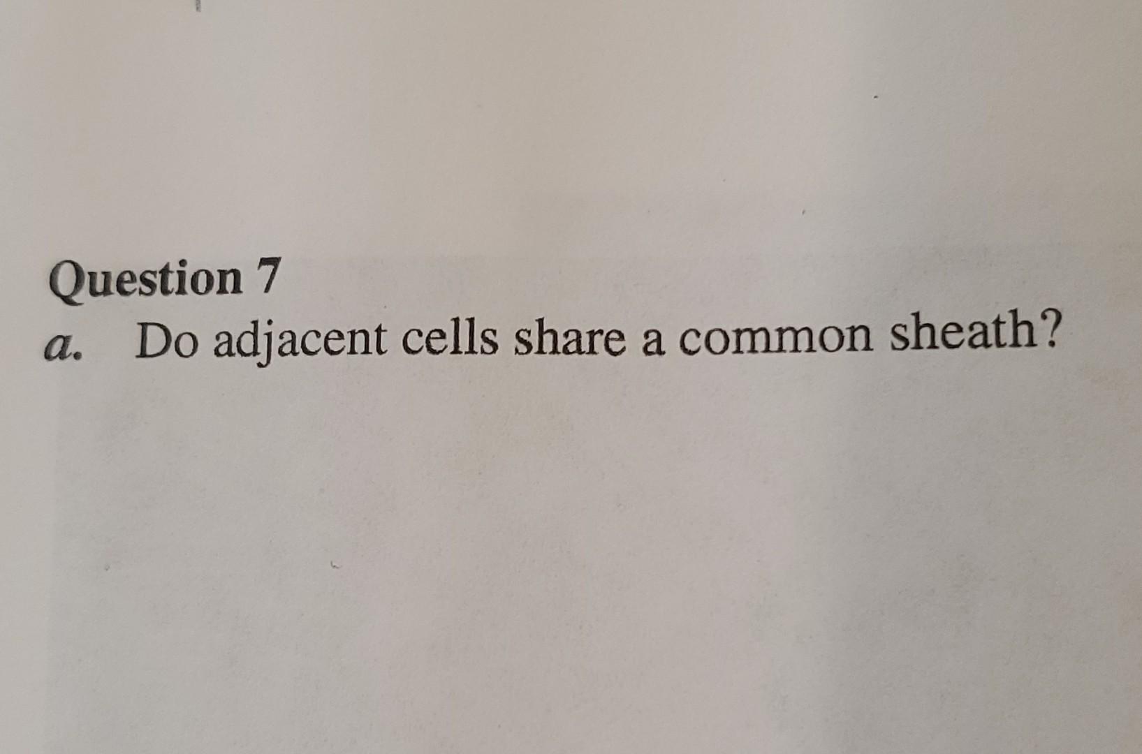Solved Question 7 a. Do adjacent cells share a common | Chegg.com