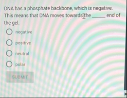 [Solved]: DNA has a phosphate backbone, which is negative. T