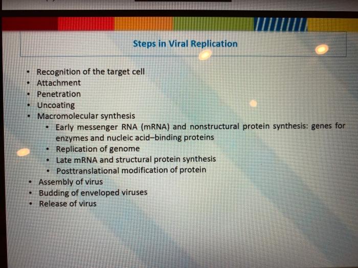 Solved Steps in Viral Replication Recognition Antibody | Chegg.com