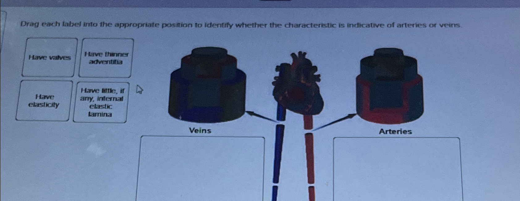 Solved Drag each label imo the appropriate position to | Chegg.com