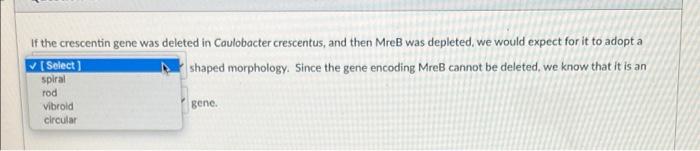 Solved if the crescentin gene was deleted in Caulobacter | Chegg.com