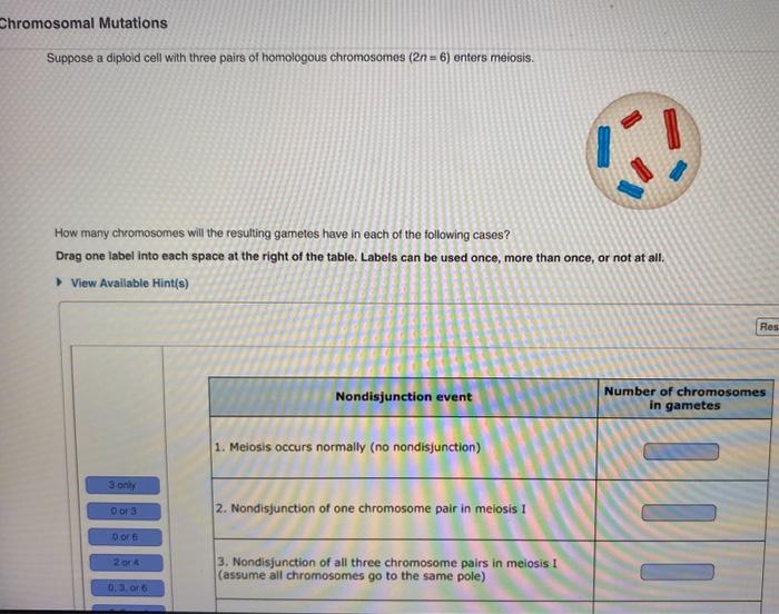 Solved Suppose a diploid cell with three pairs of homologous | Chegg.com