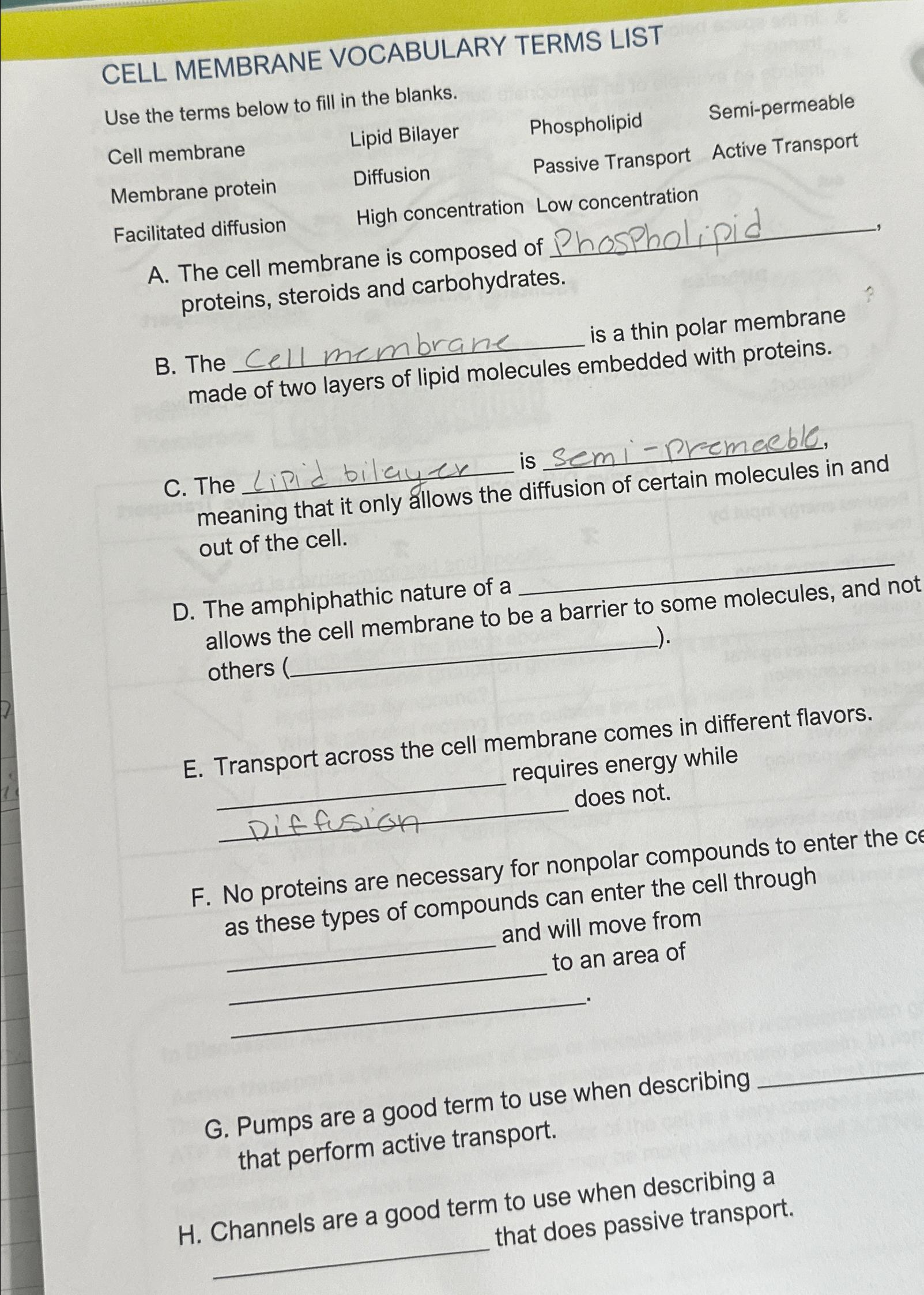 Solved CELL MEMBRANE VOCABULARY TERMS LISTUse the terms | Chegg.com