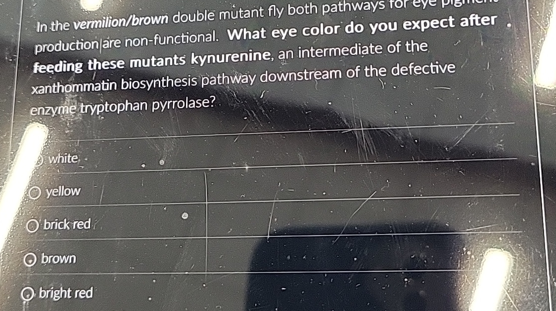Solved In the vermilion/brown double mutant fly both | Chegg.com