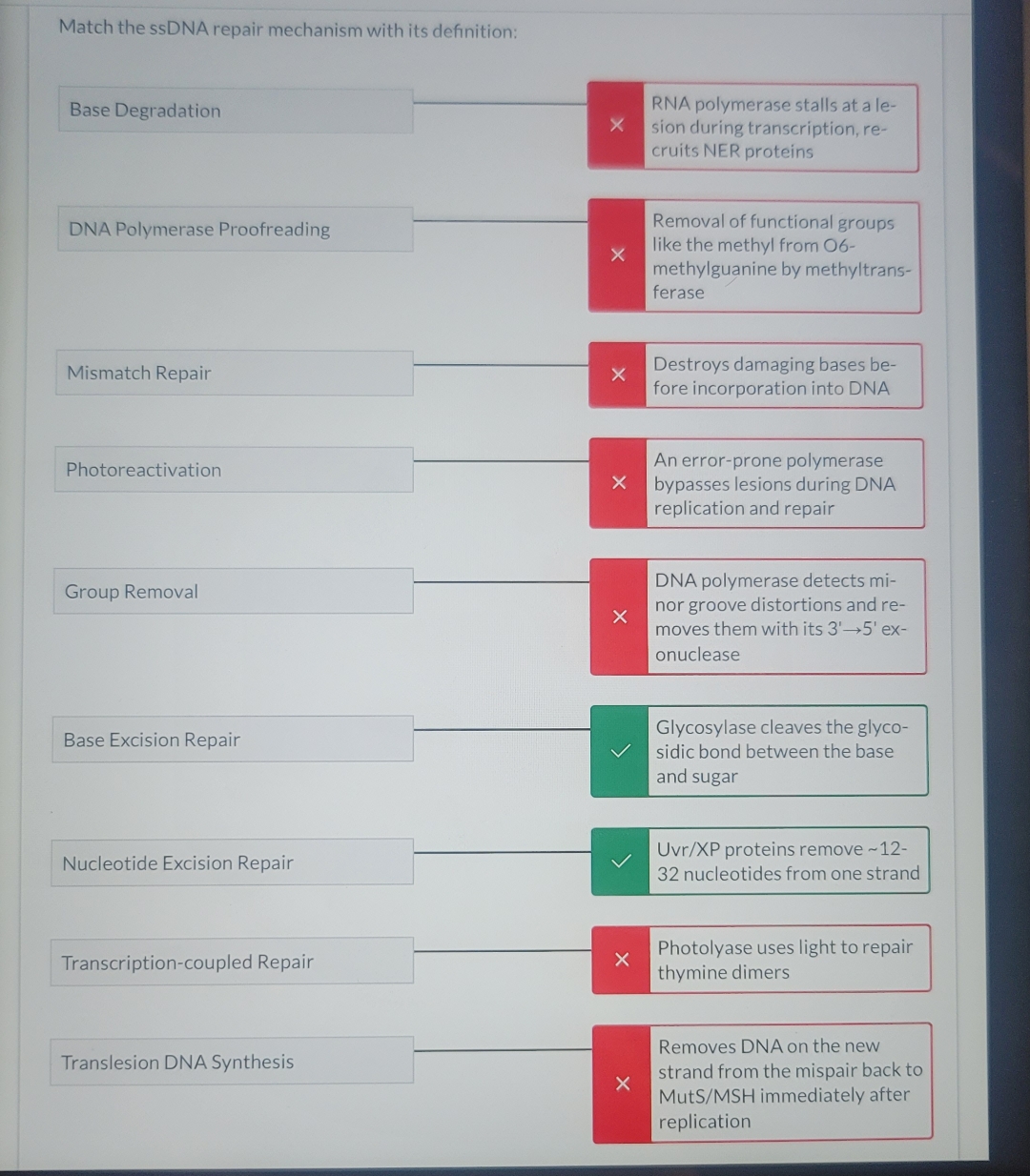 Match the ssDNA repair mechanism with its definition: | Chegg.com