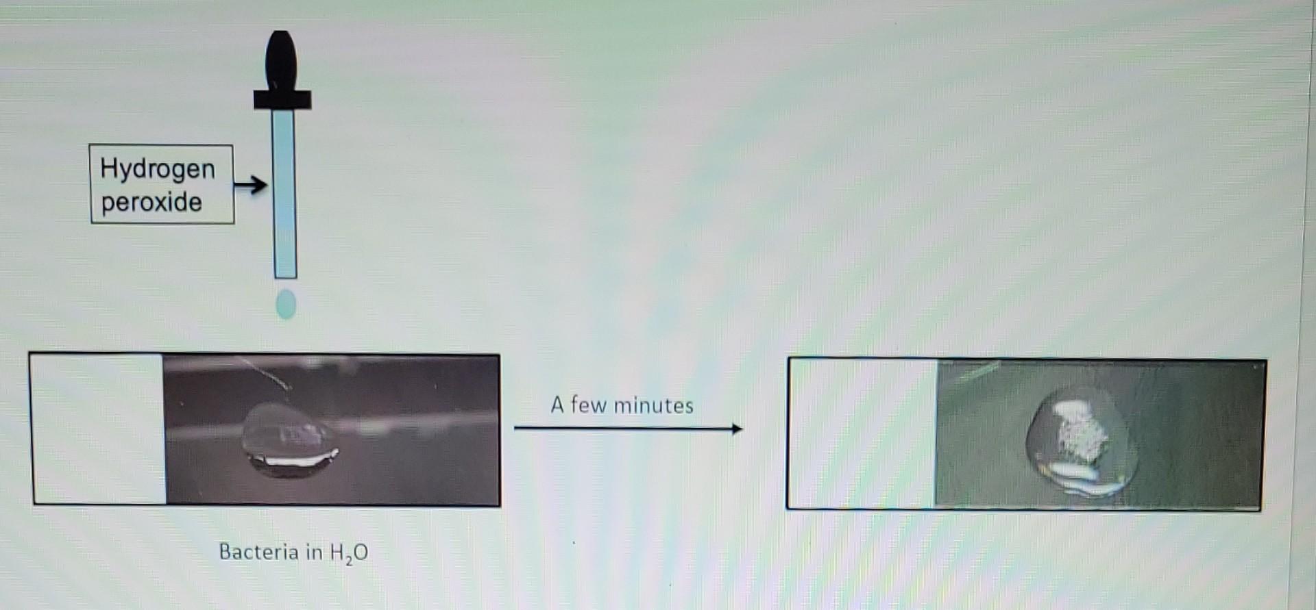 Solved Mixed Unknown Identification Form Unknown 'Patient | Chegg.com
