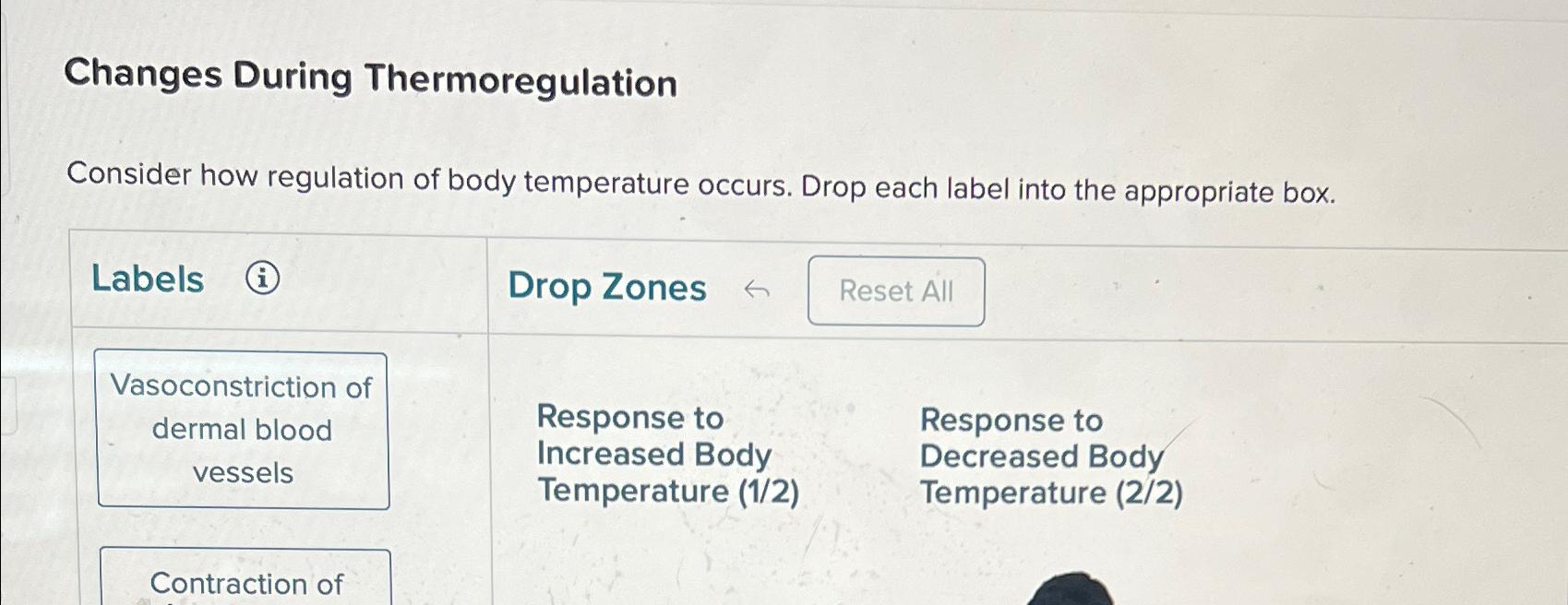 Solved Changes During ThermoregulationConsider how | Chegg.com