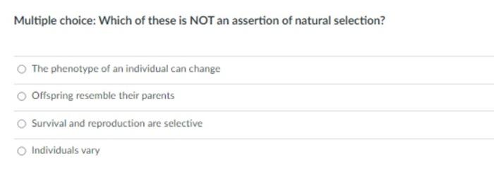 Solved Multiple choice: Which of these is NOT an assertion | Chegg.com