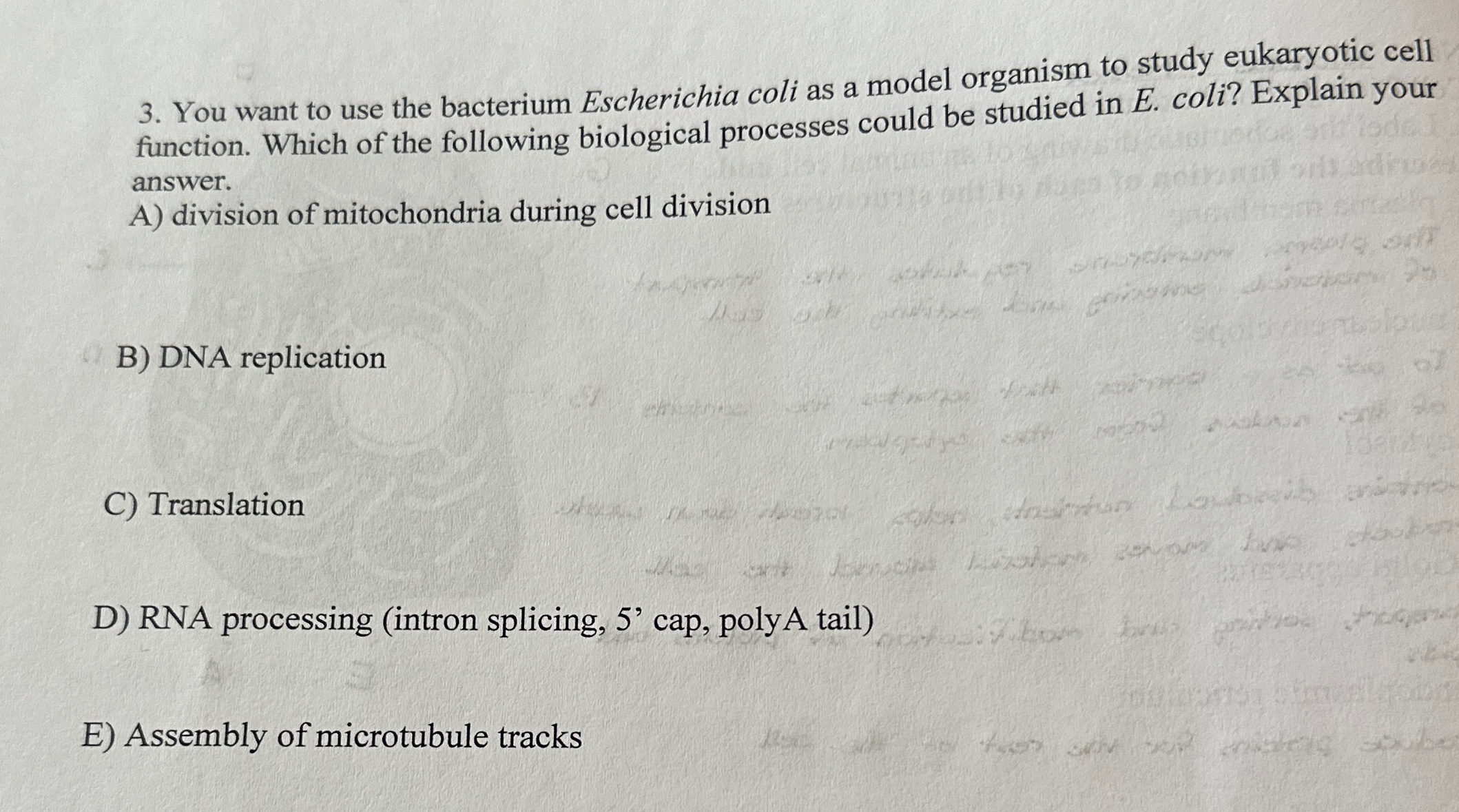 Solved You want to use the bacterium Escherichia coli as a | Chegg.com