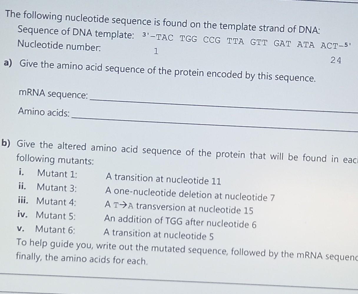 Solved The following nucleotide sequence is found on the | Chegg.com