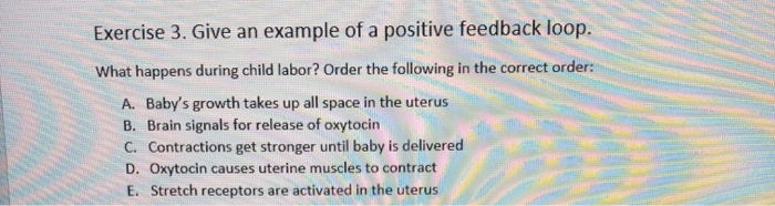 Solved Exercise 3. Give an example of a positive feedback | Chegg.com