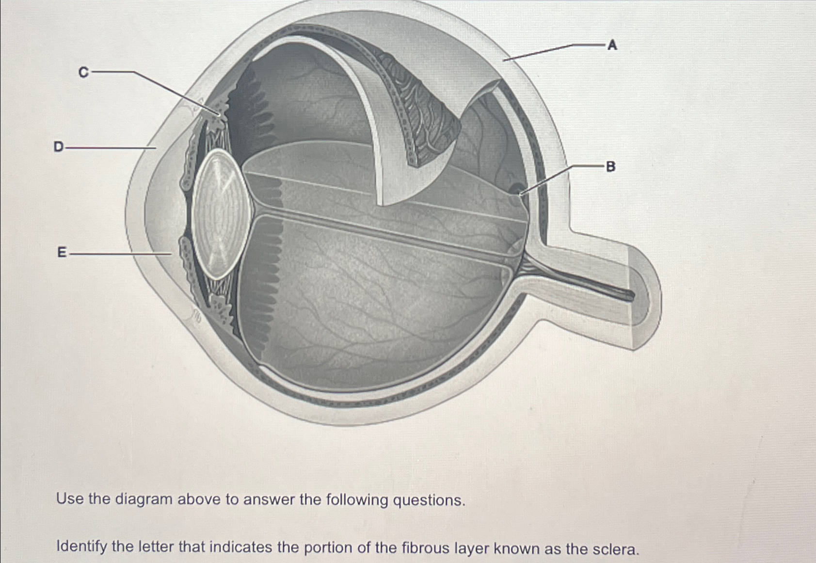 Solved Use the diagram above to answer the following | Chegg.com