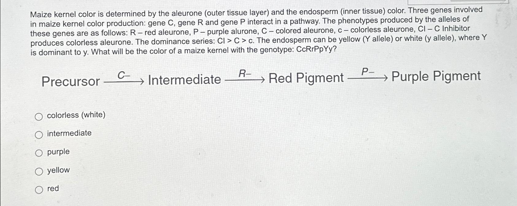Solved Maize kernel color is determined by the aleurone | Chegg.com