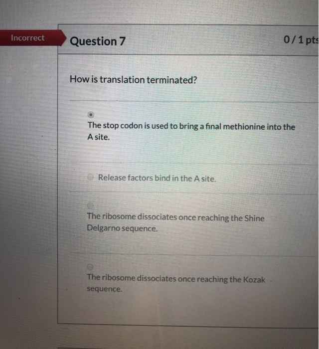 Solved ncorrect Question 1 0/1 pts If a tRNA has the | Chegg.com Solved ncorrect Question 1 0/1 pts If a tRNA has the | Chegg.com