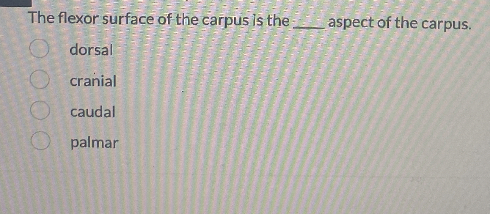 The flexor surface of the carpus is the q, ﻿aspect of | Chegg.com
