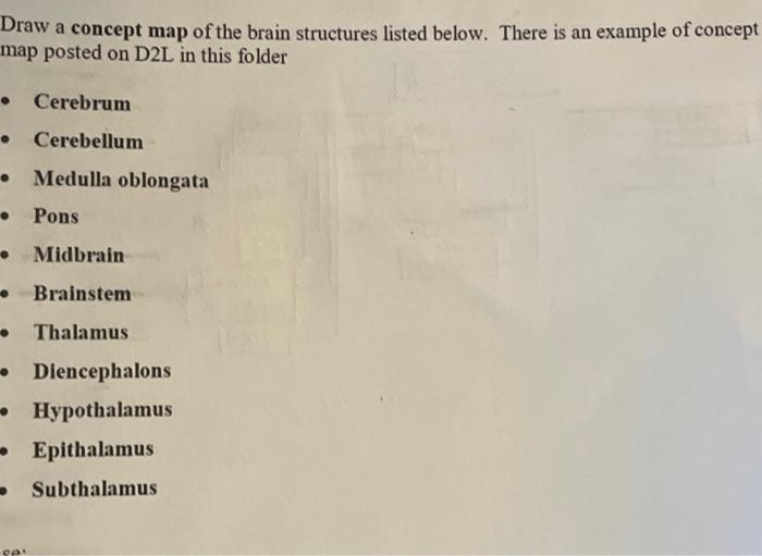 Draw a concept map of the brain structures listed | Chegg.com