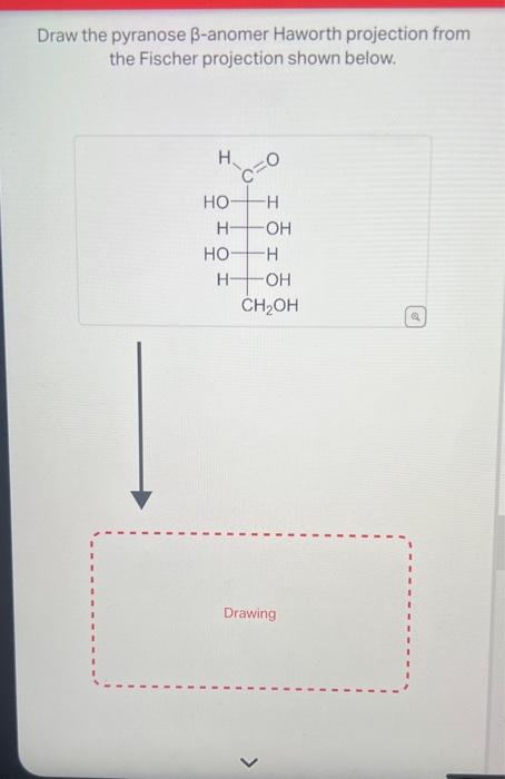 Solved Draw the pyranose β-anomer Haworth projection from | Chegg.com