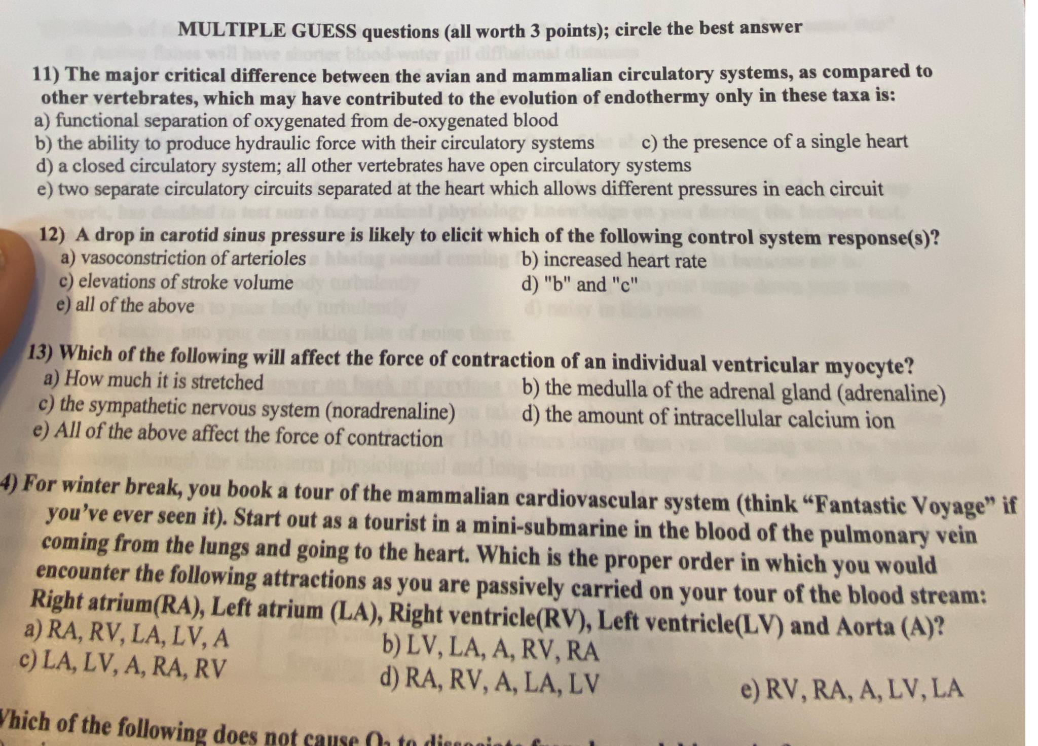 Solved MULTIPLE GUESS questions (all worth 3 ﻿points); | Chegg.com
