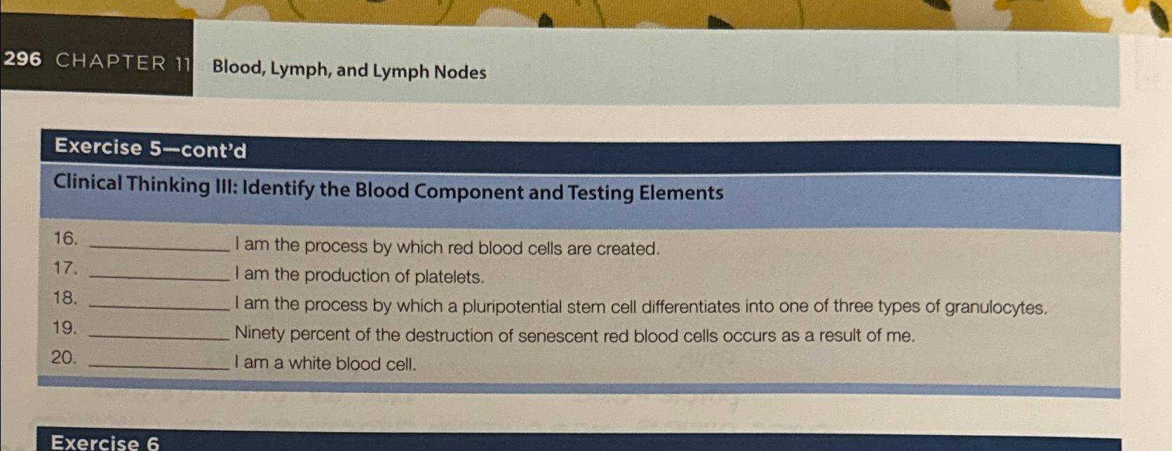 Solved 296CHAPTER 11Blood, Lymph, ﻿and Lymph NodesExercise | Chegg.com