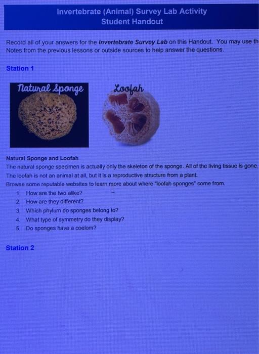 Solved Invertebrate (Animal) Survey Lab Activity Student | Chegg.com