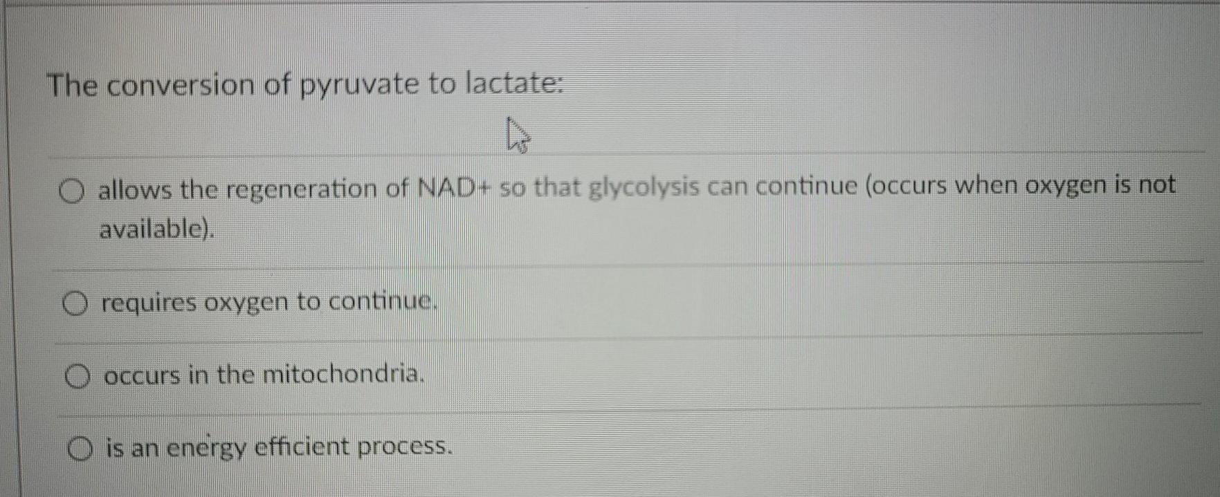 Solved The conversion of pyruvate to lactate: h O allows the | Chegg.com
