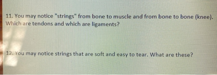 Solved 11. You may notice "strings" from bone to muscle and | Chegg.com