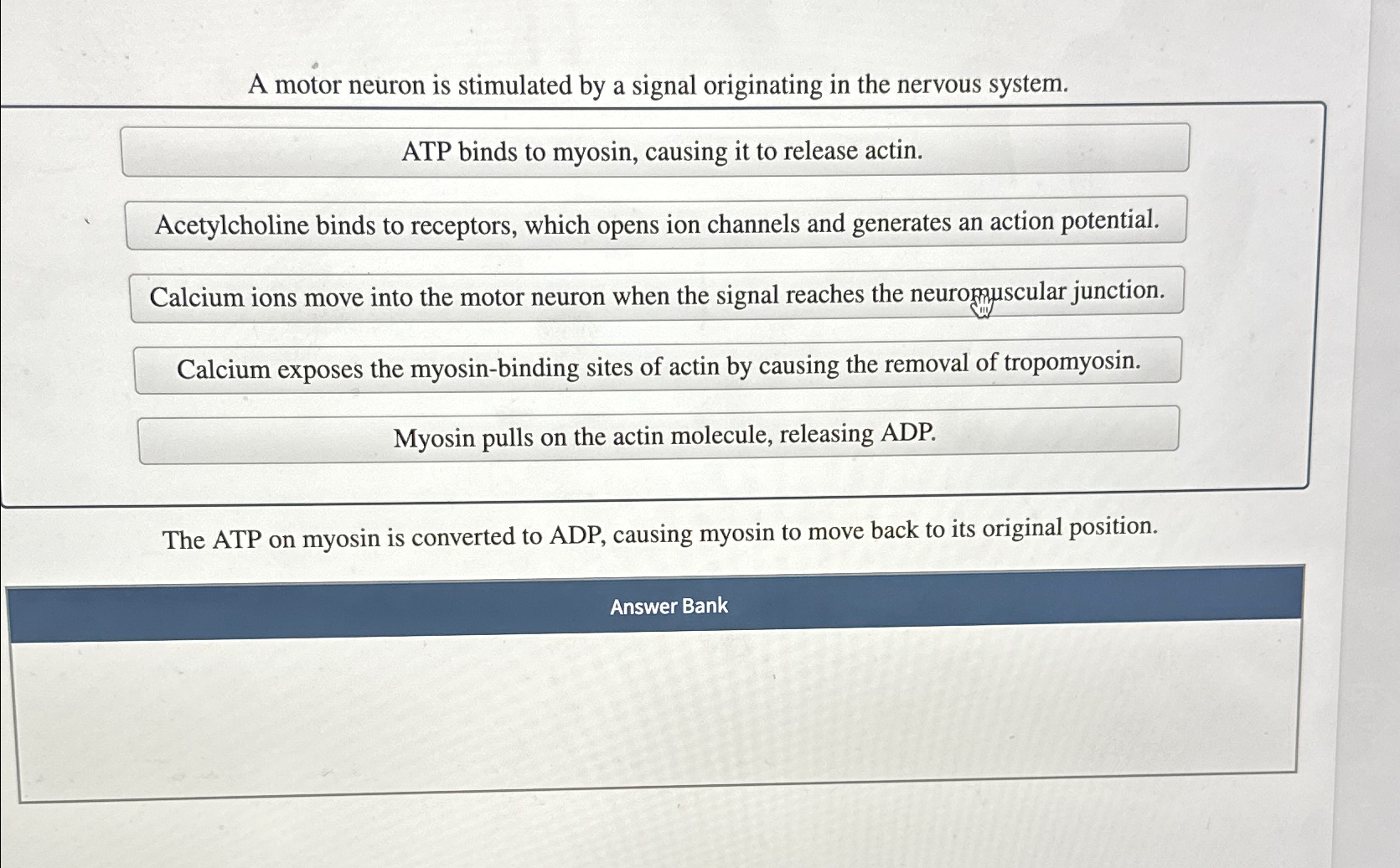 Solved A motor neuron is stimulated by a signal originating | Chegg.com