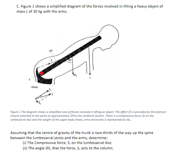 Solved C. ﻿Figure 1 ﻿shows a simplified diagram of the | Chegg.com