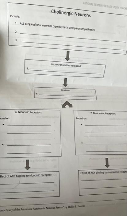 Solved NATIONAL INTERESESLOTEROS Cholinergic Neurons Include | Chegg.com