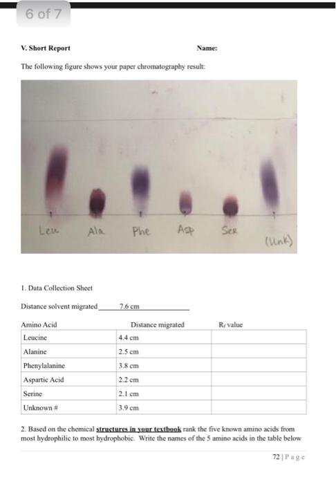 Solved Lab 3 - Paper Chromatography of Amino Acids Prior to | Chegg.com