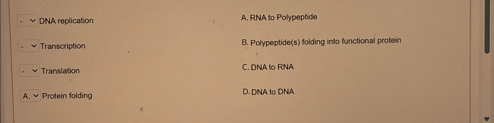 Solved DNA replicationTranscriptionTranslationA. vv ﻿Protein | Chegg.com
