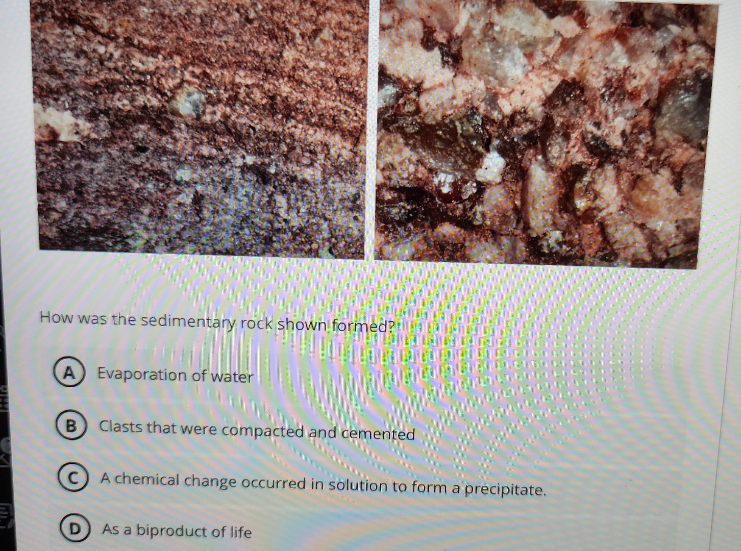 Solved How was the sedimentary rock shown formed? | Chegg.com