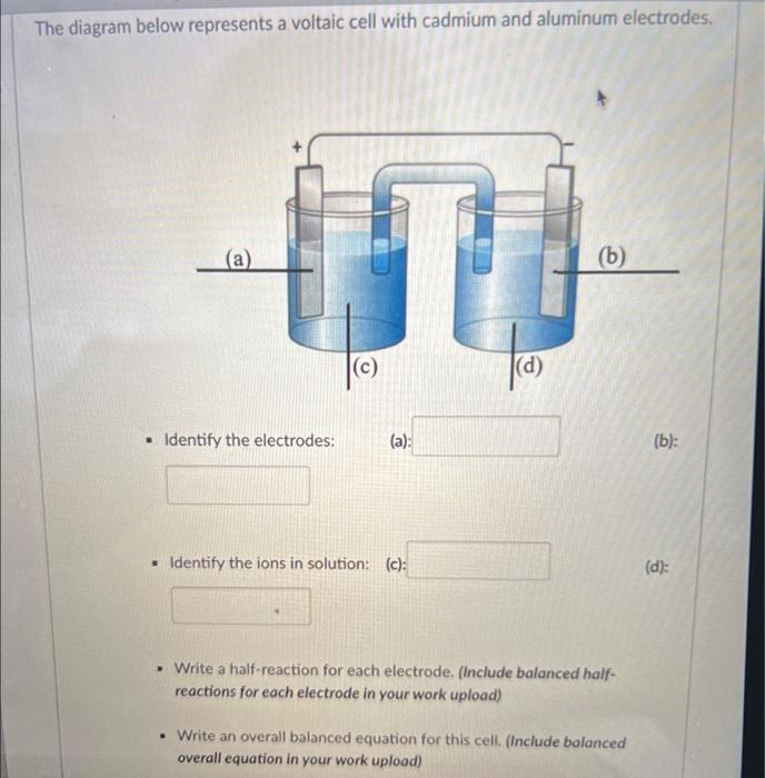 Solved The diagram below represents a voltaic cell with | Chegg.com