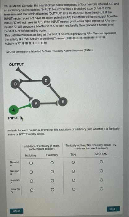 Consider the neural circuit below composed of four | Chegg.com