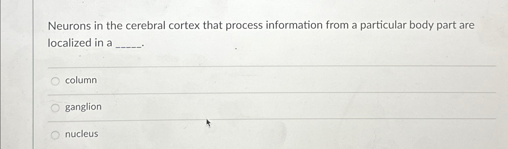Neurons in the cerebral cortex that process | Chegg.com