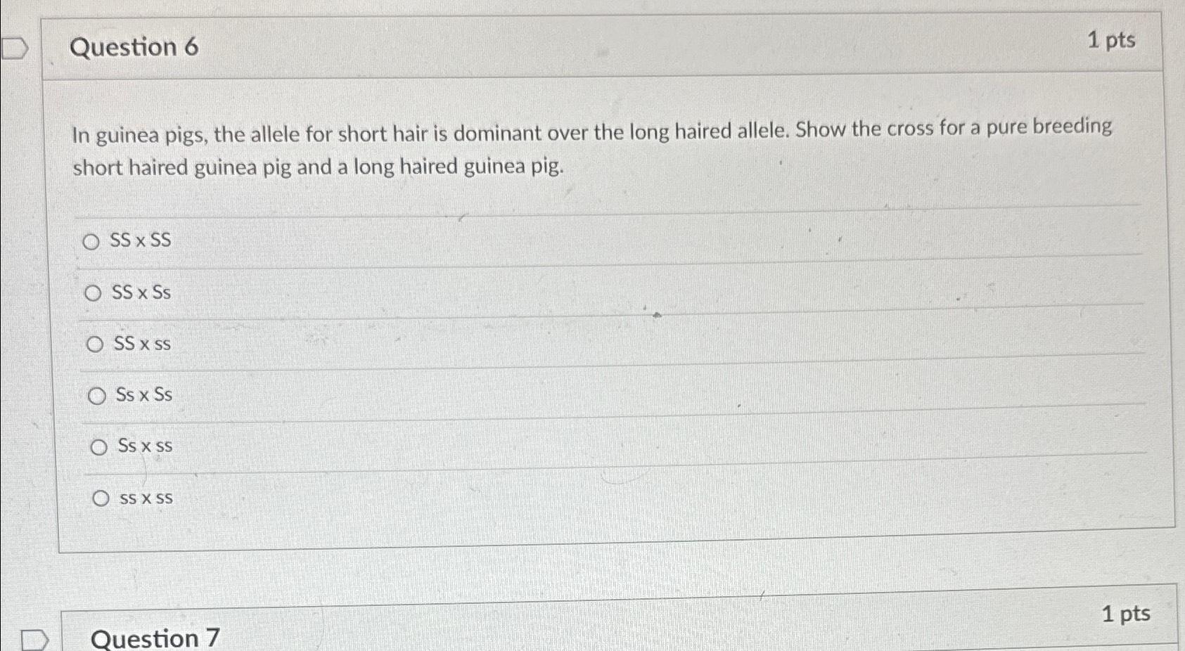 Solved Question 6\\n1 pts\\nIn guinea pigs, the allele for | Chegg.com