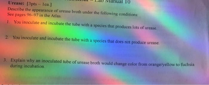Solved 10 Urease: 13pts - Tea.] Describe the appearance of | Chegg.com
