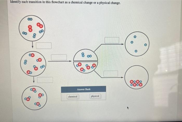 Solved Identify each transition in this flowchart as a | Chegg.com