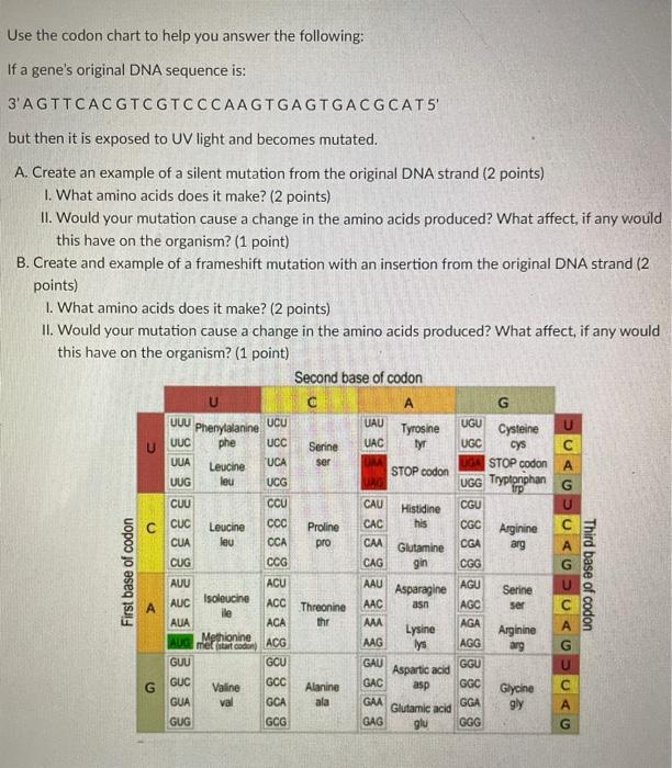 Solved Use the codon chart to help you answer the following: | Chegg.com