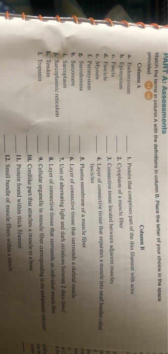 Solved PART A: Assessments match the terms in column A with | Chegg.com