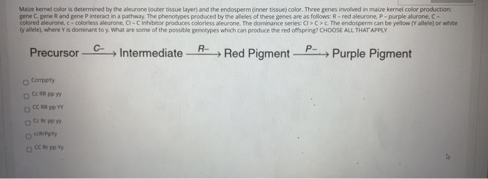 Solved Maize kernel color is determined by the aleurone | Chegg.com