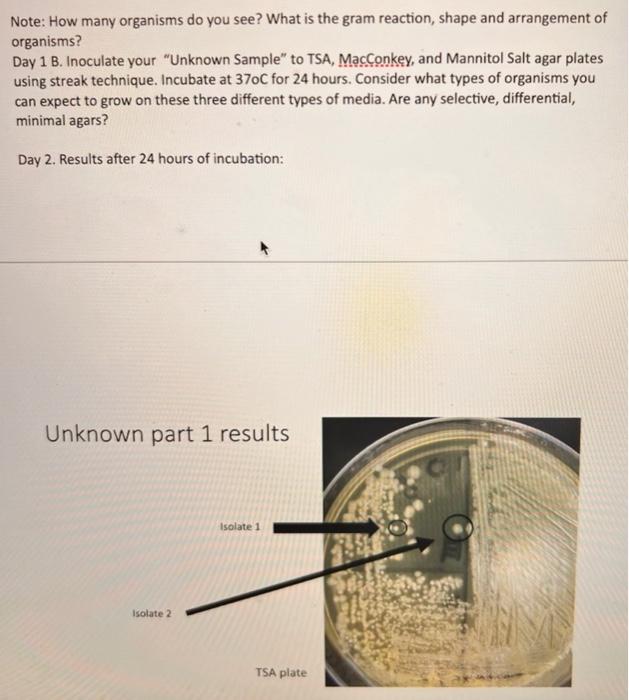 Solved BIOL 260 Unknowns Lab Part 1: Data Unknown Sample | Chegg.com