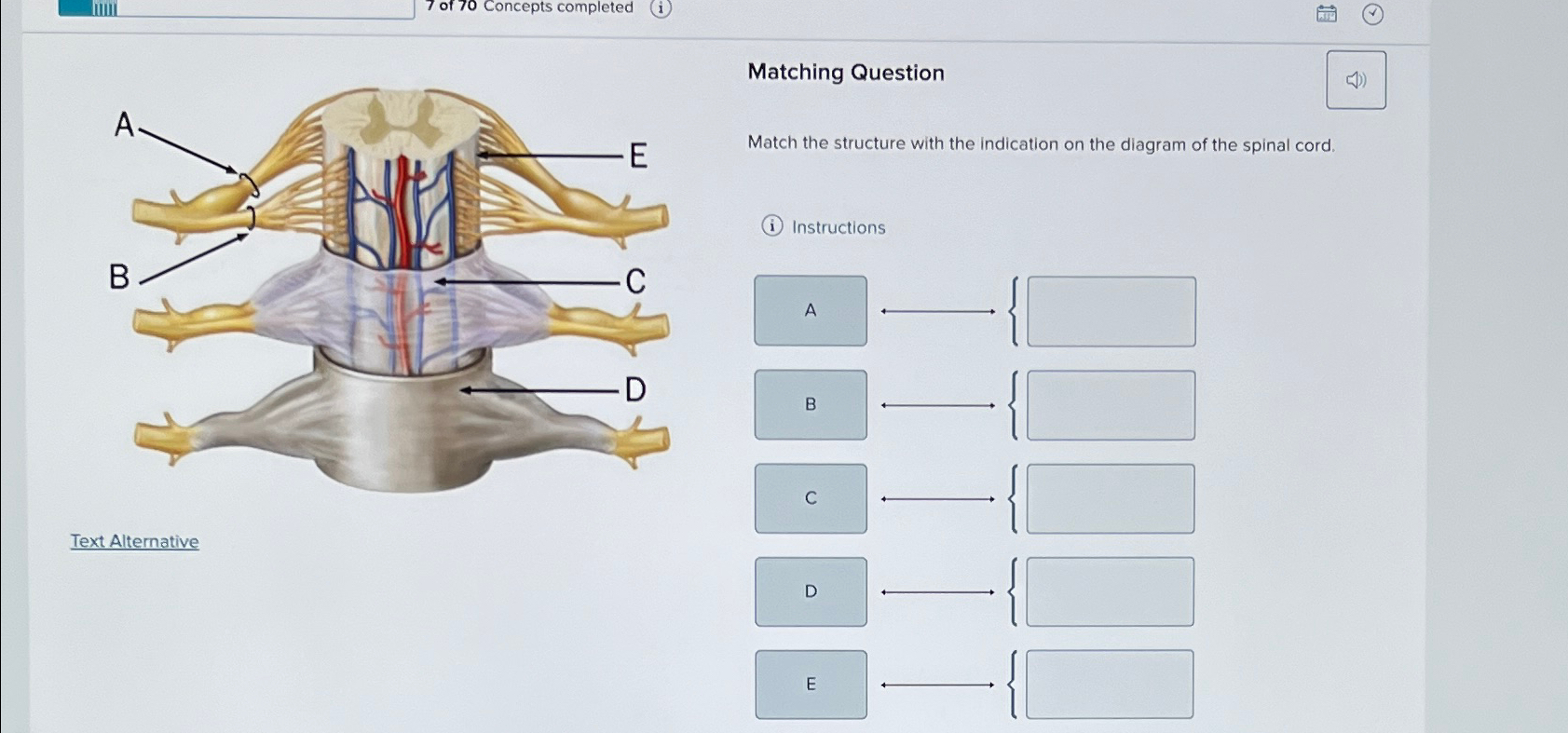 Solved 7 ﻿of 70 ﻿Concepts completed(i)Matching | Chegg.com