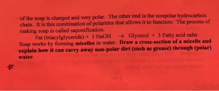 Solved Draw a cross section of a micelle and explain how it | Chegg.com