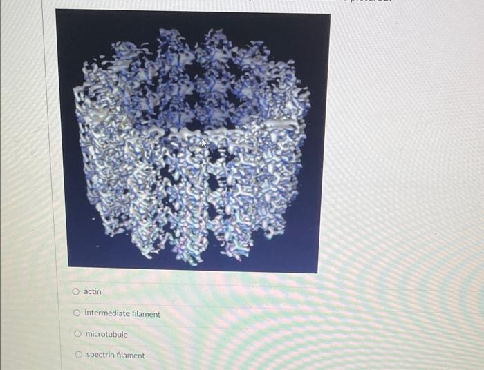 Solved Choose all the are true of microfilaments. They are | Chegg.com