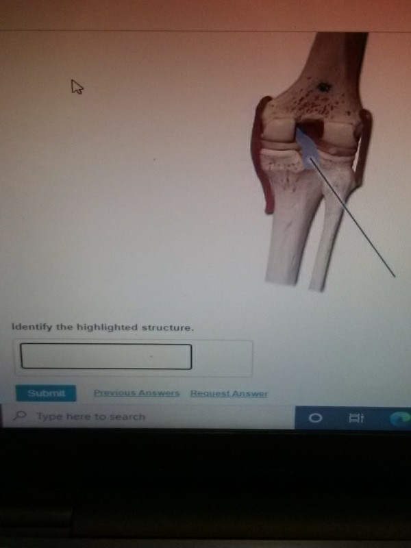 Solved session.masteringaandp.com/ UNG App Plugins 5 New | Chegg.com