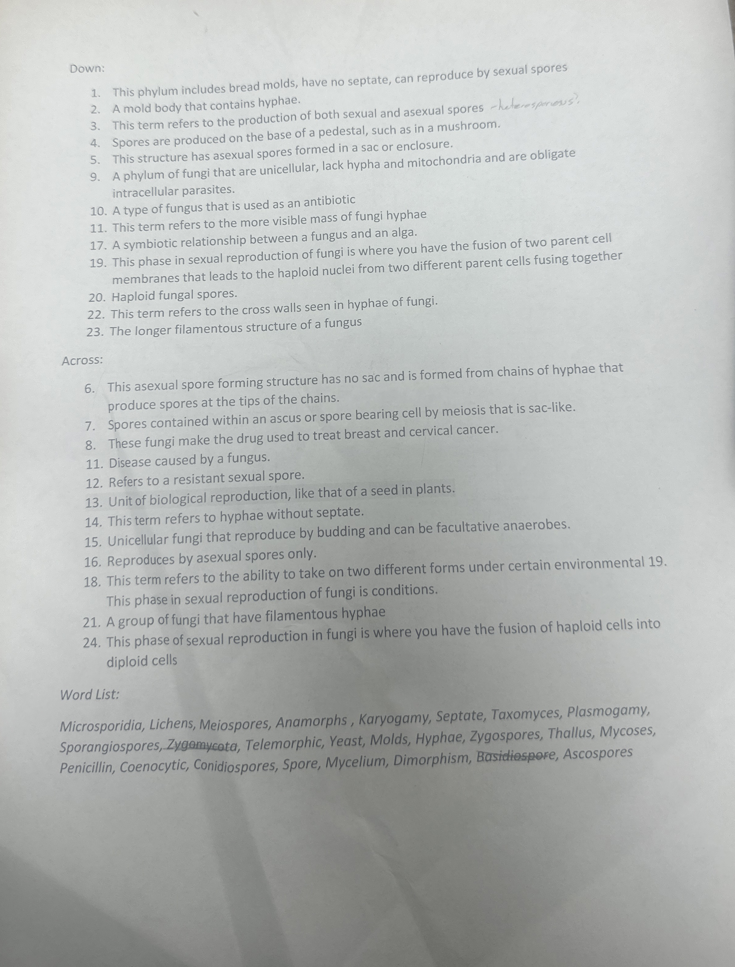 Solved Down:This phylum includes bread molds, have no | Chegg.com